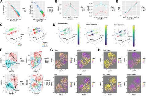 Zonation Patterns Of Single Hepatocyte Transcriptome Is Preserved After