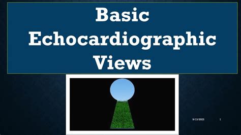 Lecture 1 Basic Echocardiographic Views Youtube
