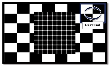 Experimental Task Performance Pattern Reversal Checkerboard Visual