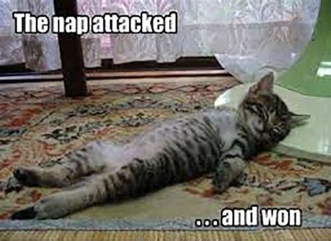 40 Truthful Memes About Being Tired Inspirationfeed
