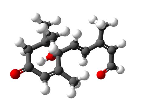 Aldehyde Vs Formaldehyde Difference And Comparison