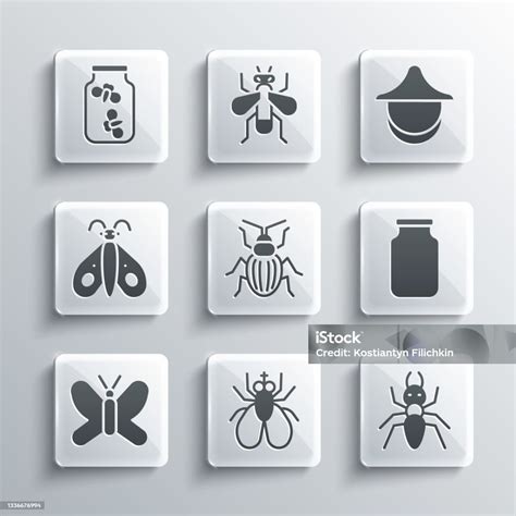 세트 곤충 비행 개미 유리 항아리 차퍼 딱정벌레 나비 반딧불 버그와 양봉 모자 아이콘 벡터 곤충에 대한 스톡 벡터 아트 및 기타 이미지 Istock