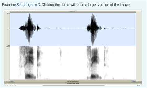 This Spectrogram Shows A Minimal Pair Of Two Words In