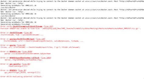 Error In Generating Auto Mask Access To Docker Denied The R FMRI Network