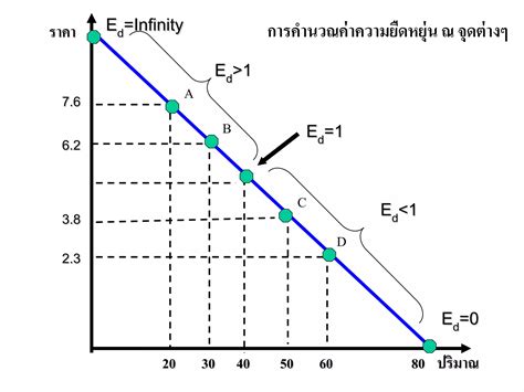 Unit3 Elasticity Ppt