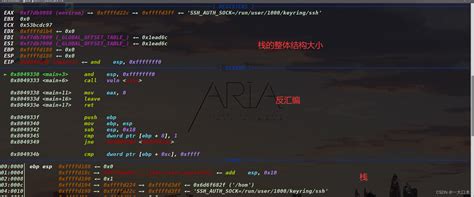 动态调试与栈溢出：pwn技巧与工具应用 csdn博客