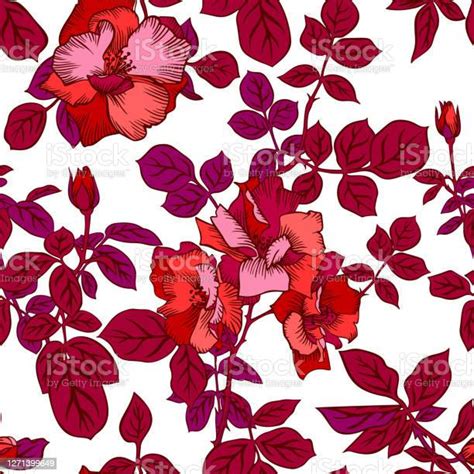 꽃 큰 빨간 장미 꽃잎 싹과 잎과 원활한 패턴 흰색으로 고립 된 예술적 여름 꽃 배경 아름다운 식물 장식품 라인 드로잉 빈티지 스타일 패턴에 대한 스톡 벡터 아트 및 기타