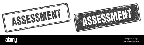 Assessment Square Stamp Assessment Grunge Sign Set Stock Vector Image