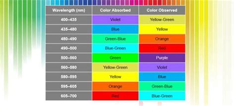5 Chromatography Lab Hacks That Save Time Cole Parmer Blog