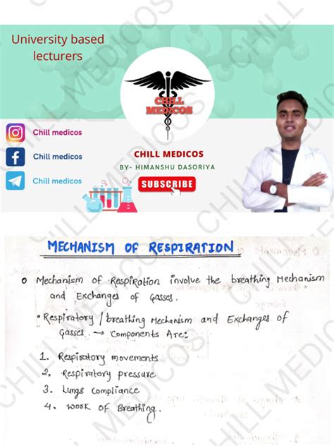 Respiratory System And Environmental Physiology Notes Pdf