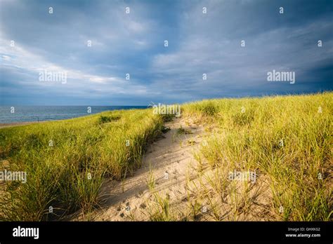 Sand Dunes And Grasses At Race Point In The Province Lands At Cape Cod