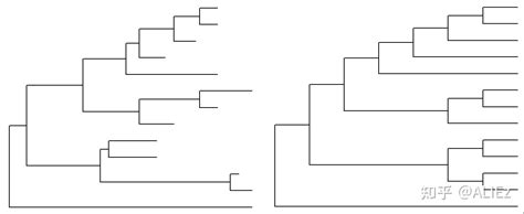 R语言绘制进化树：treeio Ggtree 知乎