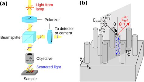 a schematic presentation of the optical microscopy setup polarized