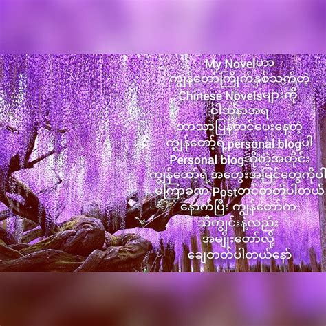 My Novel ကျီယွင်ဟယ်၊ မင်းက အခု ငါ့လက်ထဲမှာပါ” သူ့ရဲ့မျက်ဝန်းပြာလေးတ