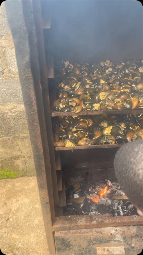 Video Posted By Anuoluwapo Ayomide Adu Therealanuadu