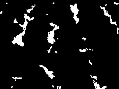 Comparison Of A Pure Nir Segmentation And A Nird Segmentation For