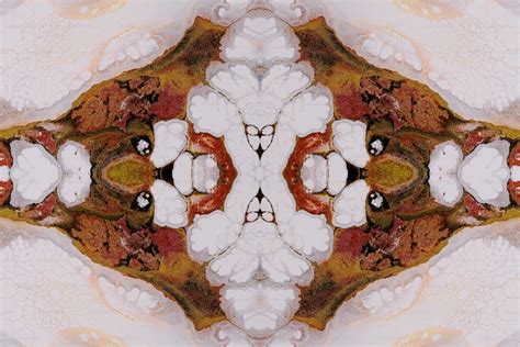 흰색과 빨간색 꽃의 추상적인 이미지 사진 Unsplash의 무늬 이미지