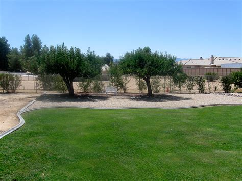 Rockscape Project Mojave Curb And Turf