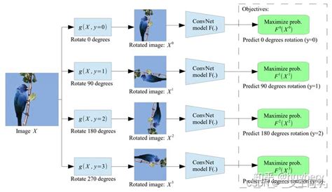 自监督学习self Supervised Learning再再次入门 Csdn博客