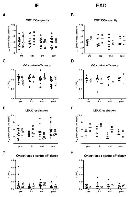 Analysis Of Succinate Linked Mitochondrial Respiration In Tissue