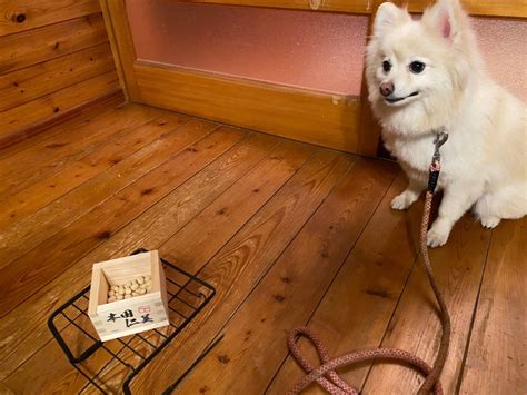 Lunamoth On Twitter Rt Hitomi011006 아니 22년 새해굿즈 쓰고있는거 나만 웃기냐고