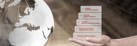 Capability Improvement Maturity Model (CIMM) | LSSA.eu
