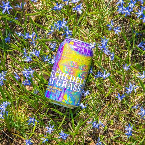 Psychedelic Cat Grass Shorts Brewing Company