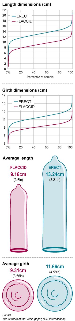 Average Width Of A Penis Fetish Latex