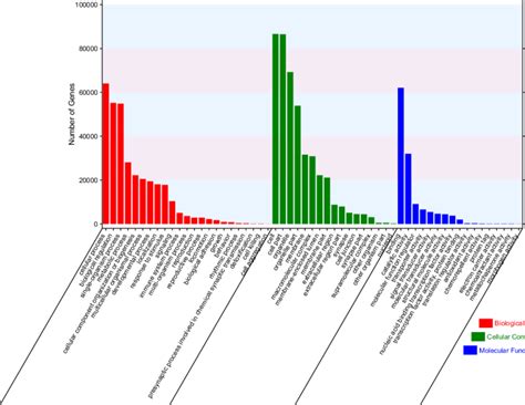 Go Functional Annotations Of The Duck Anas Platyrhynchos Full Length