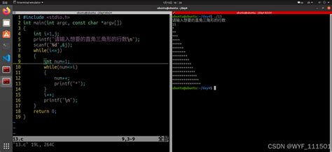 c语言——switch case分支语句、while循环、for循环、do while循环 c语言switch csdn博客