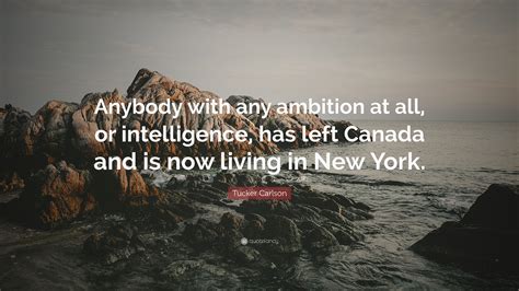 Tucker Carlson Quote “anybody With Any Ambition At All Or