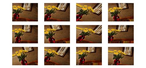 effects of image augmentation on model performance by sanchit tanwar