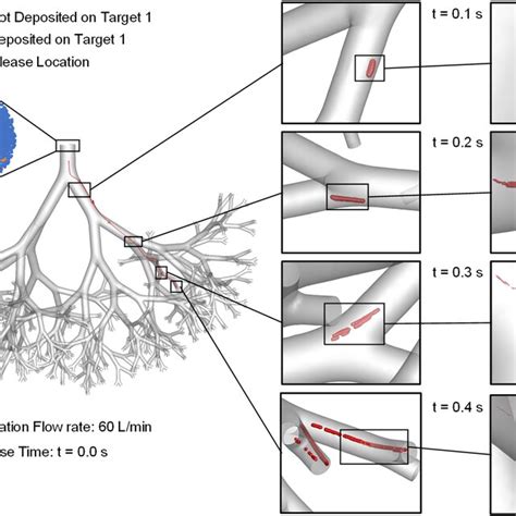 Particle Release Maps Generated Using Conventional Injection