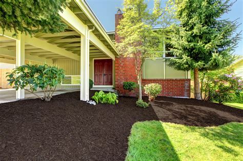 Mose Eg Colortræflis® Sandmanden