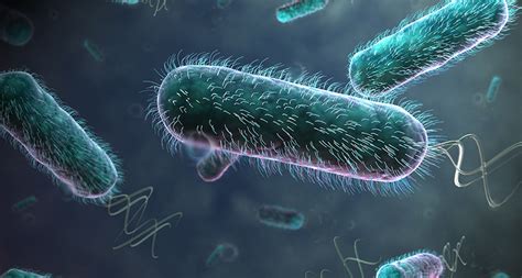 Swimming Bacteria Remove Resistance To Flow