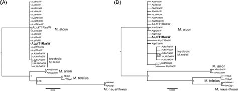 A The Result Of The Bayesian Inference Analysis With Posterior