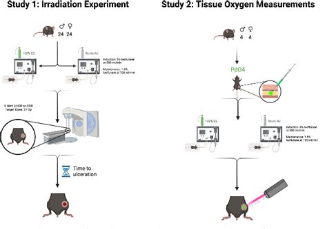Figure 1 From Anesthetic Oxygen Use And Sex Are Critical Factors In The
