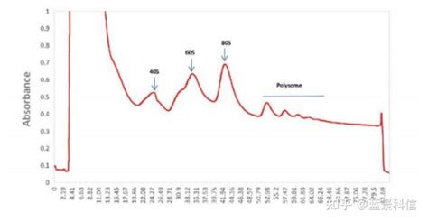 Polysome Profiling（多聚核糖体图谱分析）——解析翻译调控机制的金标准 知乎