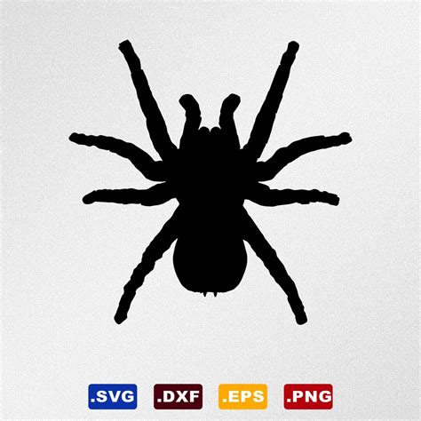 Halloween Spider Svg Dxf Eps Vector Files For Cricut Silhouette