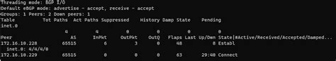 active active vpn tunnels with bgp srx