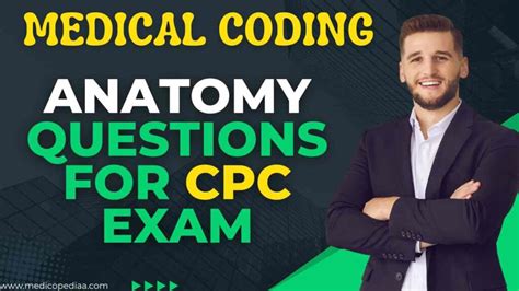 Top 50 Anatomy Questions For Cpc Exam Medical Coding