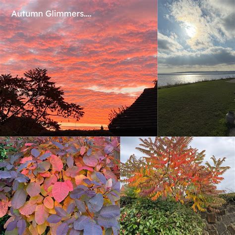 These Are My Autumn Glimmers My Predictable Seasonal Glimmers Things