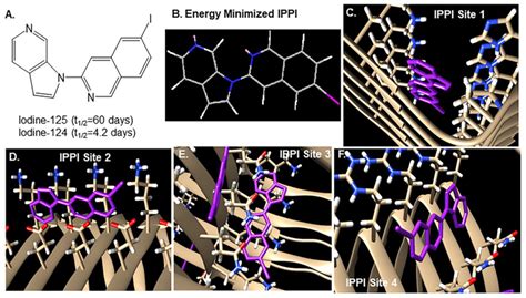 Tau Model With Ippi A Chemical Structure Of Ippi B Energy