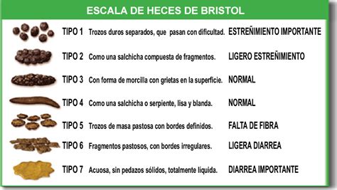 Escala De Bristol Test De Enfermería