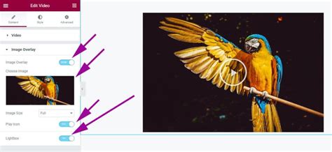 How To Add An Elementor Lightbox Video Dynamic Popup