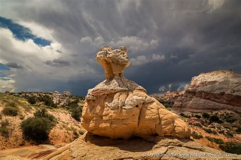 White Pocket Photography Action Photo Tours