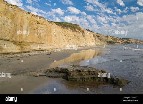 Cliffs And Sandy Shoreline At Torrey Pines State Beach San Diego