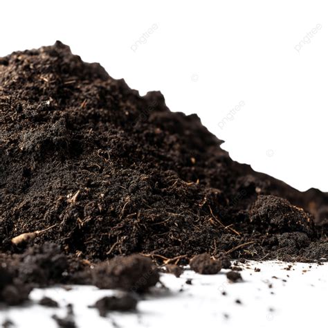 Close Up Of Dark Nutrient Rich Compost Soil On White Background Mulch