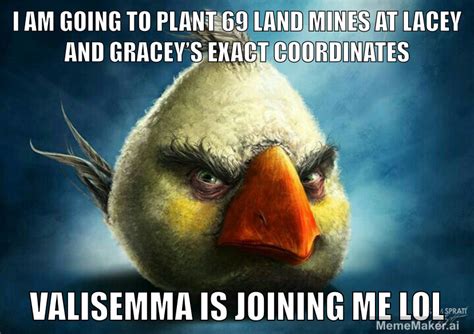 Realistic Angry Birds Memes 50 Halfway To 100 By