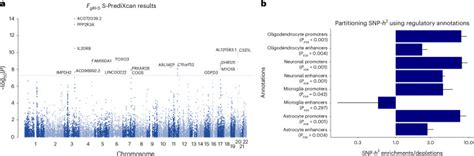 The Shared Genetic Architecture And Evolution Of Human Language And Musical Rhythm PMC